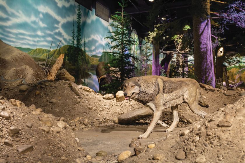 Back to the Ice Age – Cincy