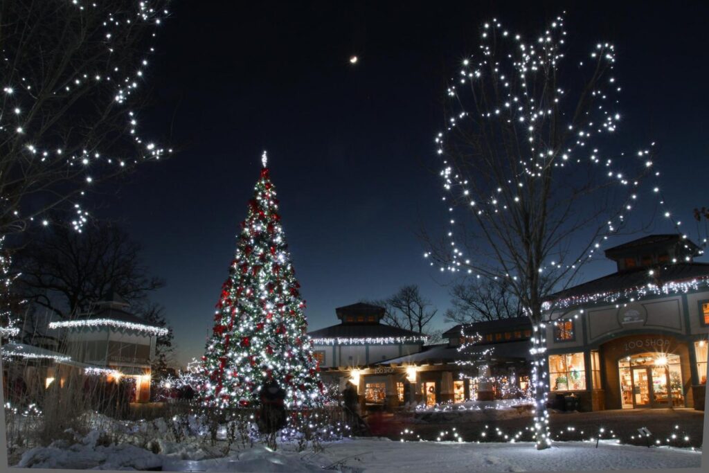 Start a Family Tradition – Cincy