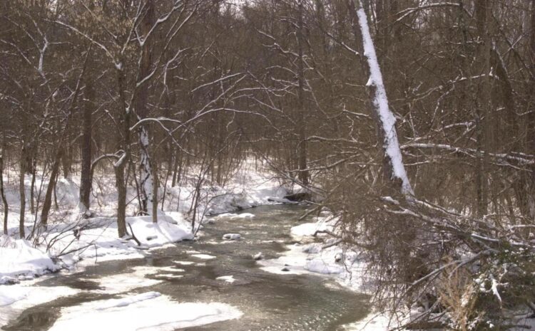 Winter Fun at Local Parks – Cincy