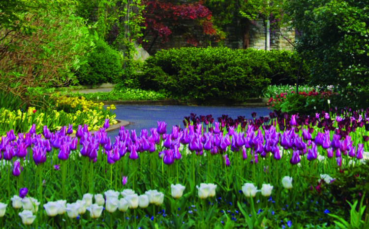 Spring in the Queen City – Cincy